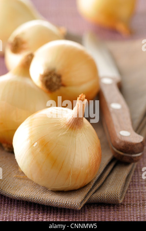 Close up photo of onions Stock Photo - Alamy