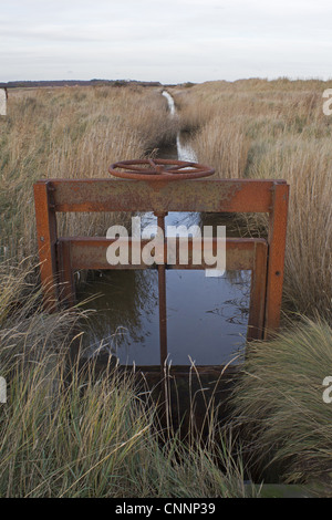 Sluice gate in reedbed dyke, Minsmere RSPB Reserve, Suffolk, England ...