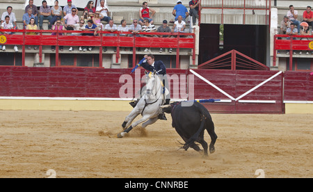 Bullfighting Banderillero banderillas horseback bullring Corrida de ...