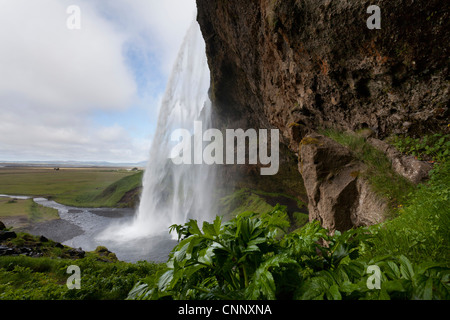 A waterfall cascade over a sheer cliff Stock Photo - Alamy