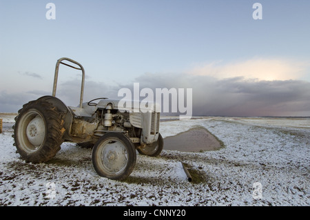 Farm machinery, Ferguson TE20, 'Little Grey Fergie' tractor, ca Stock ...