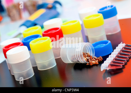 PCR tray in microbiological laboratory Stock Photo - Alamy