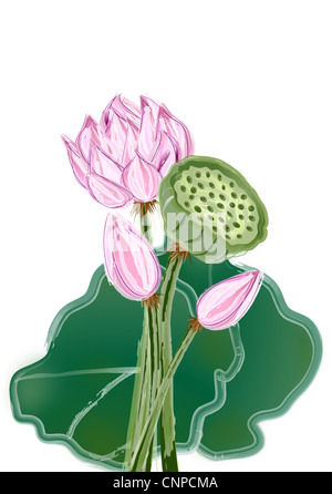 Abstract lotus flower Stock Photo - Alamy