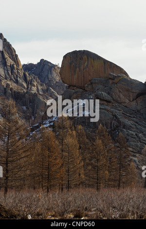 Turtle rock Terelj National Park Mongolia Stock Photo - Alamy