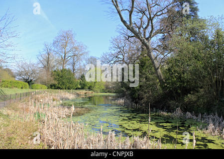 Reigate Castle, Castle Grounds, Surrey, England, UK Stock Photo - Alamy