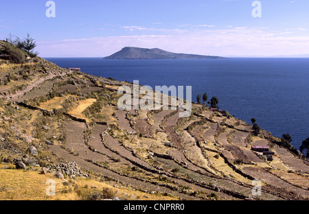 Agricultural terraces on Taquile island The still blue waters of Lake ...
