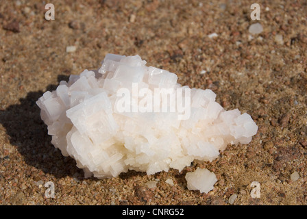 Salt crystal, Namibia Stock Photo - Alamy