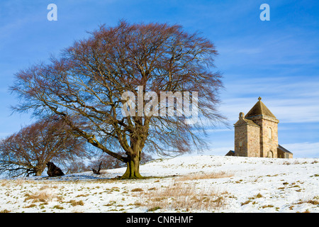 How hill tower near Ripon, North Yorkshire Stock Photo - Alamy