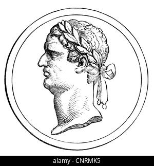 Domitian Titus Flavius Domitianus, 51 - 96AD. Roman Emperor, last of ...