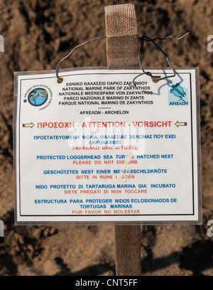 sea turtle nest do not disturb sign on beach at marineland florida usa ...