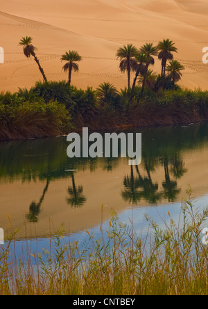 Umm al-Maa Lake (Ubari Lakes), oasis in the Idehan Ubari sand sea ...