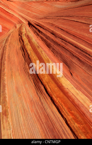 Close-up view of Antelope Canyon's sandstone walls. The intricate ...