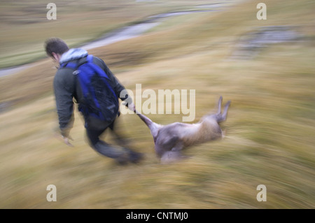 DRAGGING FOR A CORPSE Stock Photo - Alamy