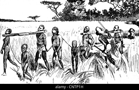 slavery, captured slaves in Africa, wood engraving, 19th century ...