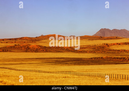 Landscape in namibia Stock Photo - Alamy
