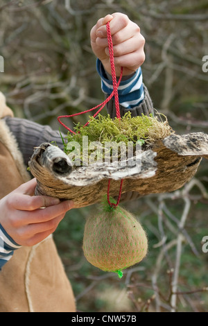 building a dispenser for nesting material Stock Photo - Alamy