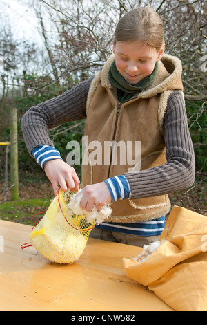 building a dispenser for nesting material Stock Photo - Alamy