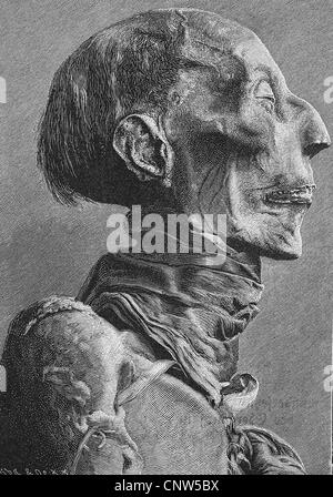 Head of the mummy of Ramses II, Ramses the Great, ca. 1303 - 1213 BC ...