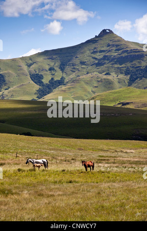 Gatberg (Hole Mountain), Ugie, Eastern Cape, South Africa Stock Photo ...