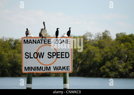 Slow Speed Minimum Wake sign in Hillsborough river in Tampa. Florida ...
