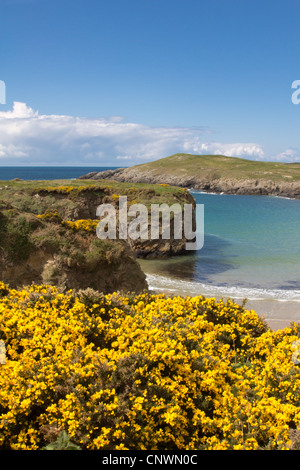 Coastal Landscape, Anglesey Beach, Spring, Great Ocean Road, Victoria ...