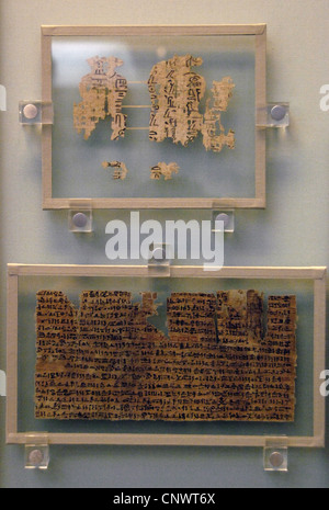 Ancient Egyptian hieroglyphs on papyrus - Cairo Stock Photo - Alamy