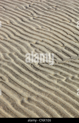 Beach at Strathy Bay, Scotland Stock Photo - Alamy