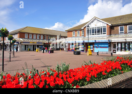 Hailsham, Sussex, Shopping Street, England Stock Photo - Alamy