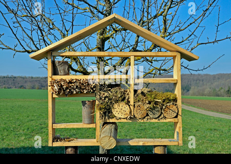 Nesting aids for wild bees and other insects, insect hotel, nwand ...