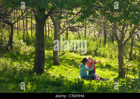 A young boy peeing in the woods Stock Photo - Alamy