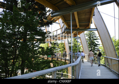 Tree tower, Tree Top Walk, Bavarian Forest National Park, Neuschönau ...