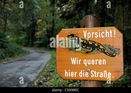 European fire salamander (Salamandra salamandra), road sign warning ...