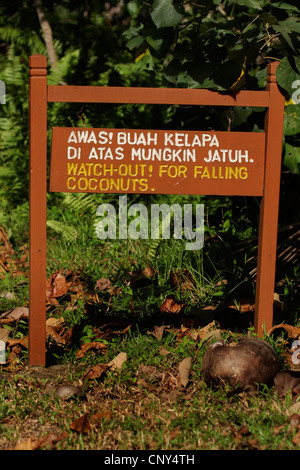 A 'BEWARE FALLING COCONUTS' sign in Honolulu serves as a reminder of ...