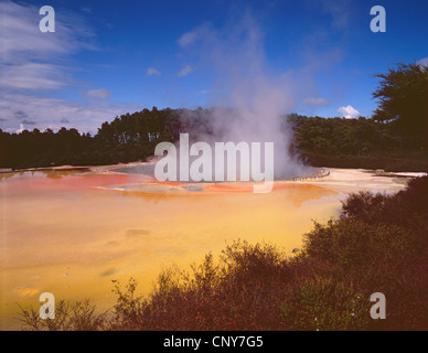 Steam rises from a colorful geothermally heated pond at Waiotapu, North ...