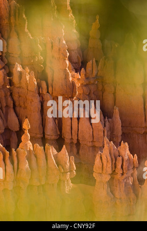 Canyons and eroded sandstone and limestone formations dominate the ...