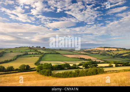 Beautiful rolling Devon countryside beneath a gorgeous sky, Raddon Hill ...