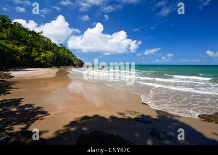 Etty Bay near Innisfail, Australia, Queensland, Moresby Range National ...