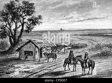 geography/travel, Argentina, people, gauchos, engraving after drawing ...