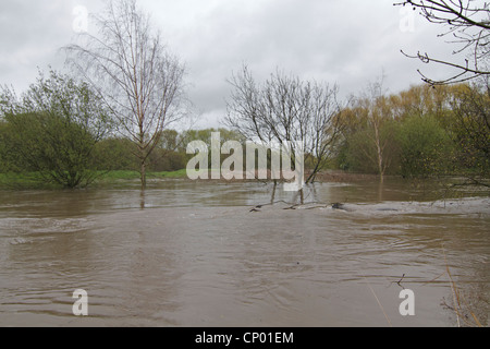 River Rother flooding at Catcliffe Stock Photo - Alamy