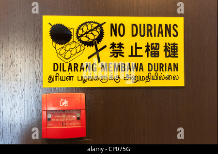 Singapore No Durian fruit warning prohibition sign in MRT station ...