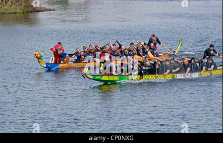 BDA National League dragon boats race at Caldecotte lake Milton Keynes ...