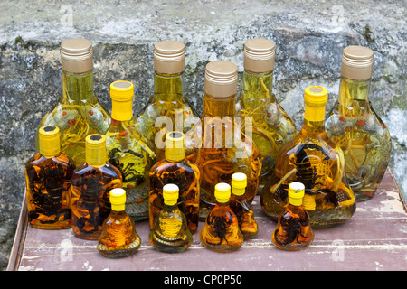 A bottle of snake wine (ruou ran, pinyin, shejiu); rice wine infused ...