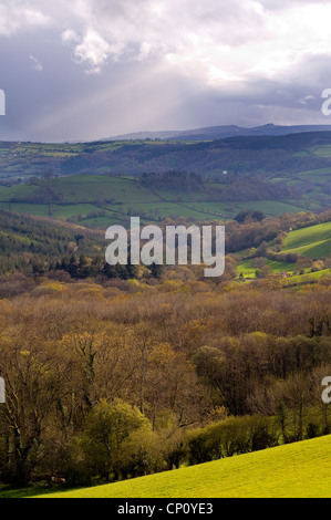 rolling devon hills,hedgerows,thatch,agricultural, agriculture, country ...