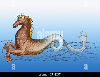 superstition, mythical creatures, "sea horse" ("Hippocamp"), woodcut ...