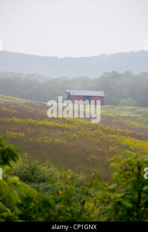 Misty mountain landscape Stock Photo - Alamy