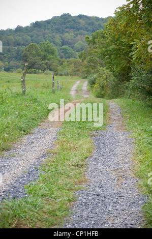 gravel path and pasture of nature with grazing flock of sheep at Boge ...