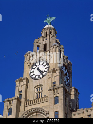 Liverpool GROSSBRITANNIEN, Great Britain, England, Liverpool, 21.10. ...