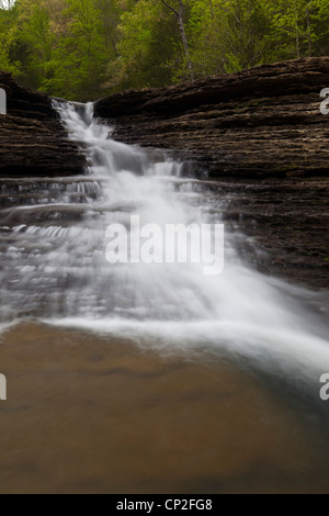 Creek flowing in a forest, Six Finger Falls, Falling Water Creek, Ozark ...