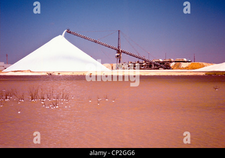 Salt mining Port Hedland W Australia Stock Photo - Alamy