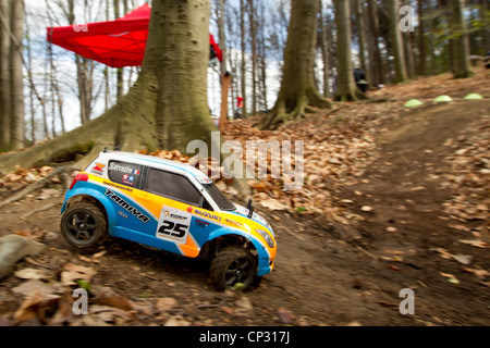 Race, races, RC car, model, toy, rallye, remote control, controlled ...